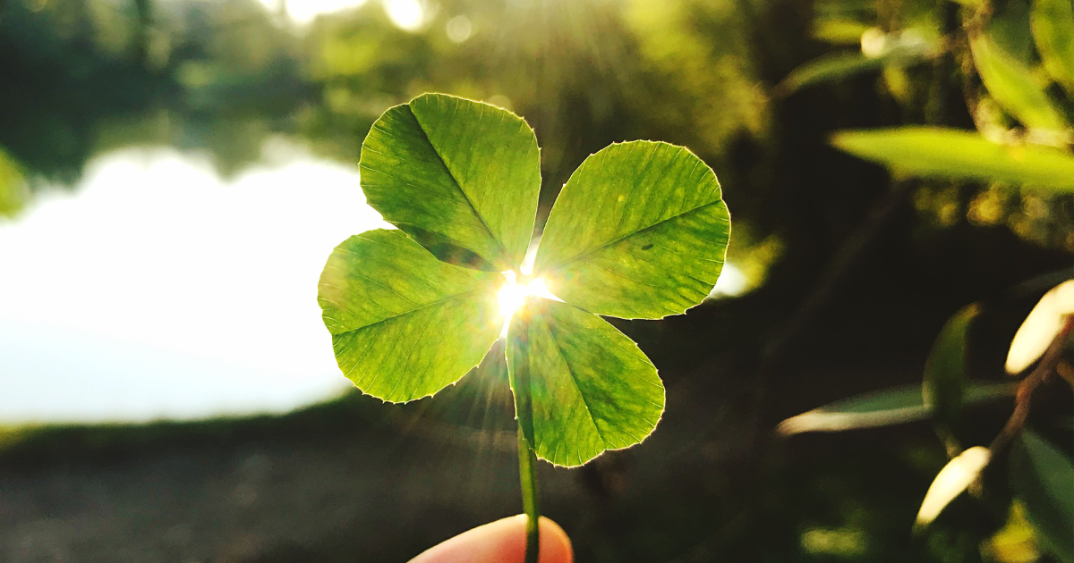 Are Chimney Sweeps Lucky? - Raleigh NC - Durham NC - Mr. Smokestack